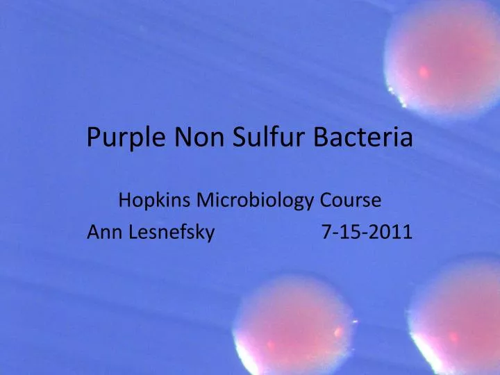 Ppt Purple Non Sulfur Bacteria Powerpoint Presentation Id1895949