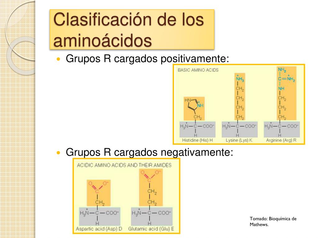 PPT - Proteínas: Aminoácidos PowerPoint Presentation, free download ...