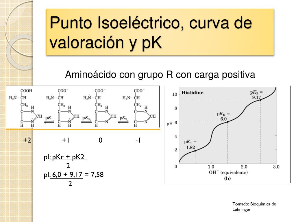 PPT Prote nas Amino cidos PowerPoint Presentation Free Download PPT Prote nas Amino cidos PowerPoint Presentation Free Download