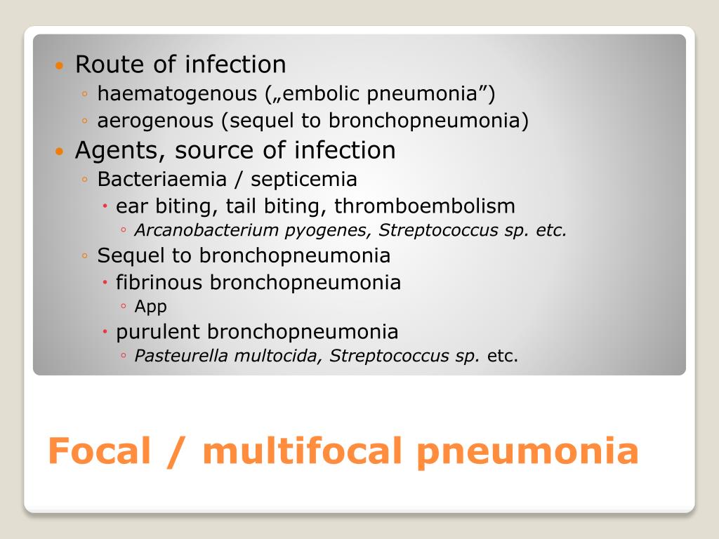PPT - Pathogenesis and pathology of porcine pneumonias PowerPoint ...