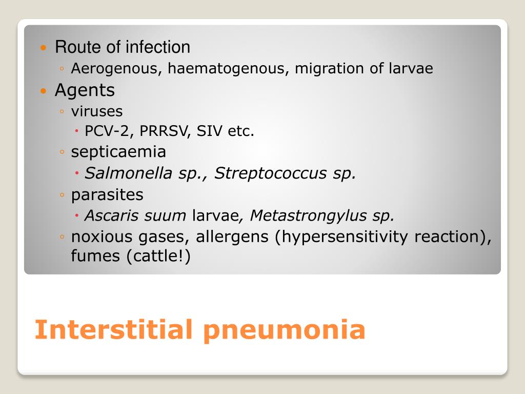 PPT - Pathogenesis and pathology of porcine pneumonias PowerPoint ...