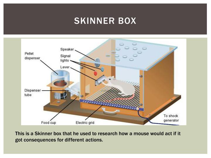 PPT - Burrhus freDeric (b.f.) skinner PowerPoint Presentation - ID:1896363