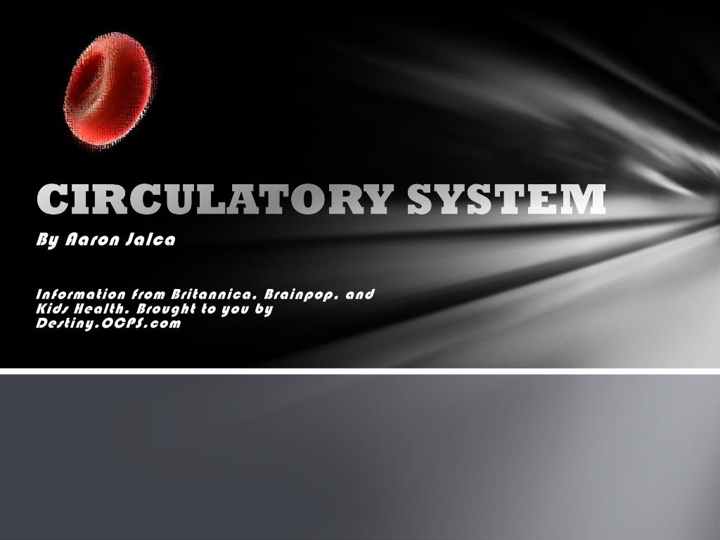 PPT - Discovering the Circulatory System: Functions, Interaction ...