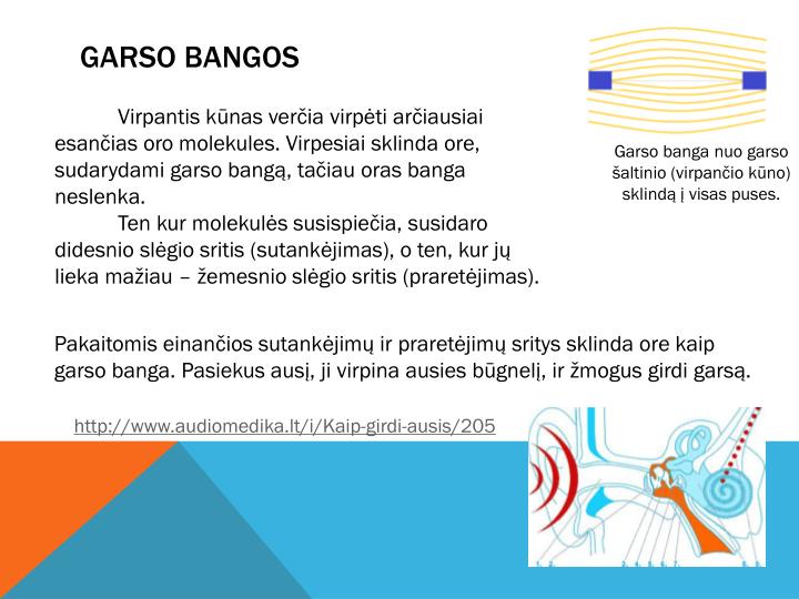PPT - Garso sklidimo ypatybės PowerPoint Presentation - ID:1896496