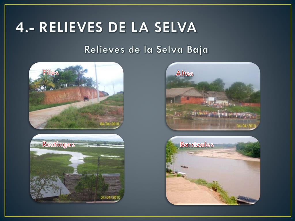 PPT - LA COSTA , SIERRA Y SELVA DEL PERU PowerPoint Presentation, free ...