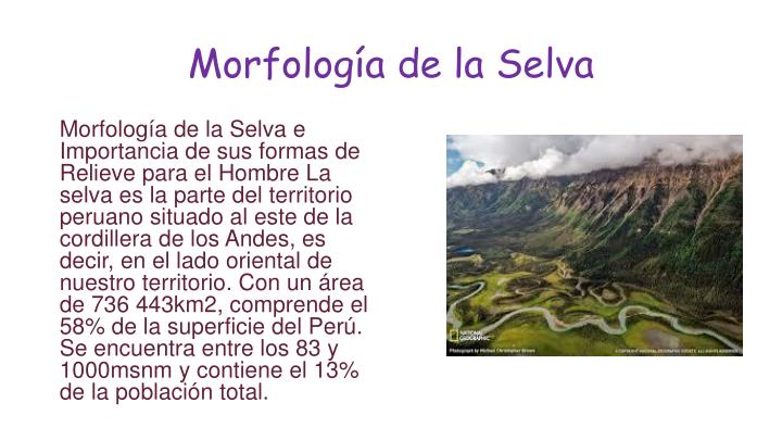 PPT - Tema 5: PERÚ FISICO RELIEVE DE LA COSTA, SIERRA Y SELVA ...