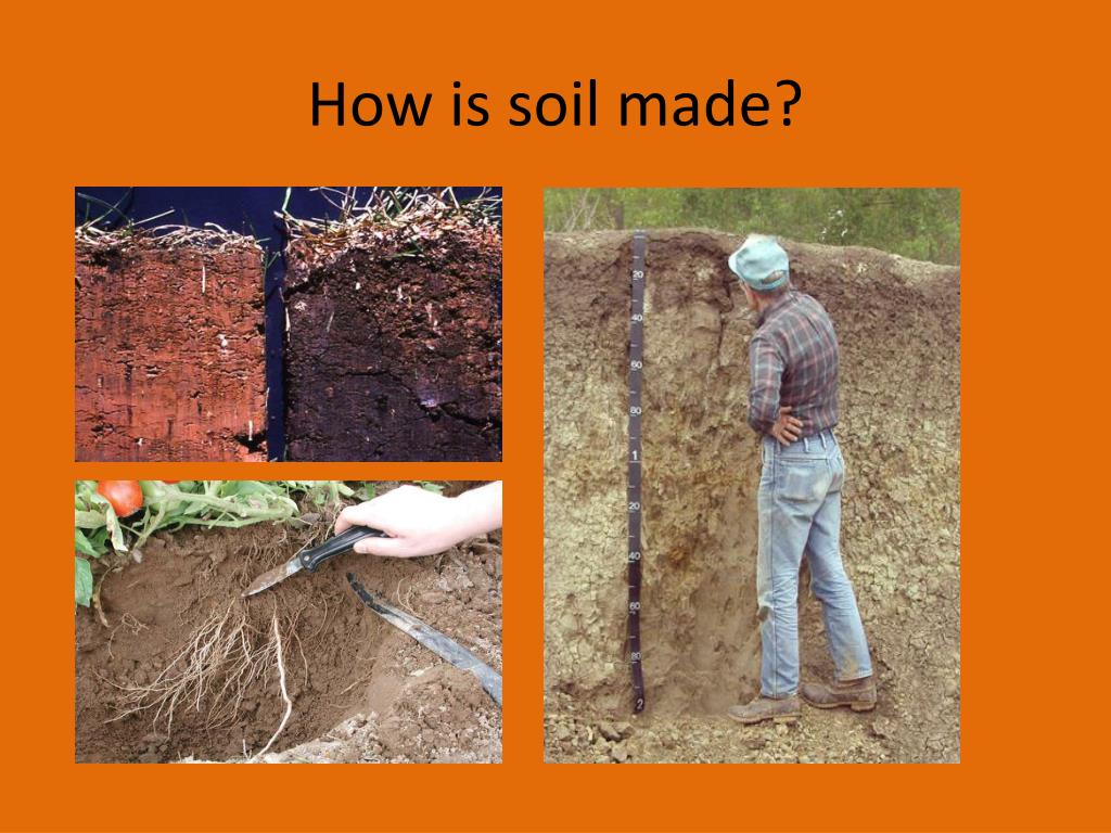PPT - Air is the breath of life, Water is the drink of life, Soil is ...