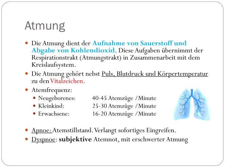 PPT - Mensch und Gesundheit PowerPoint Presentation - ID:1897092