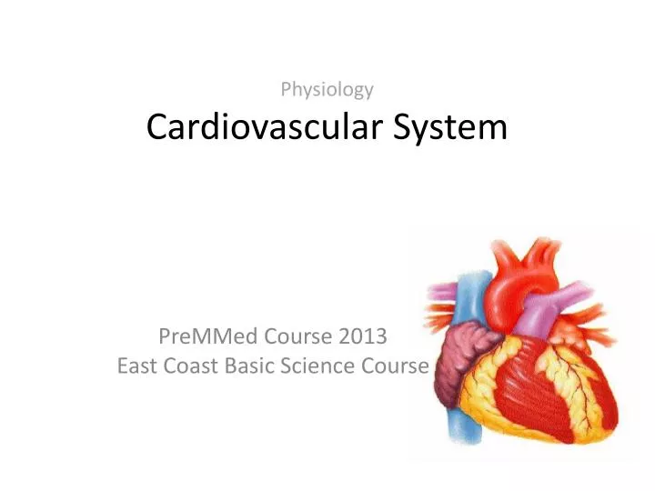 PPT - Physiology Cardiovascular System PowerPoint Presentation, free ...
