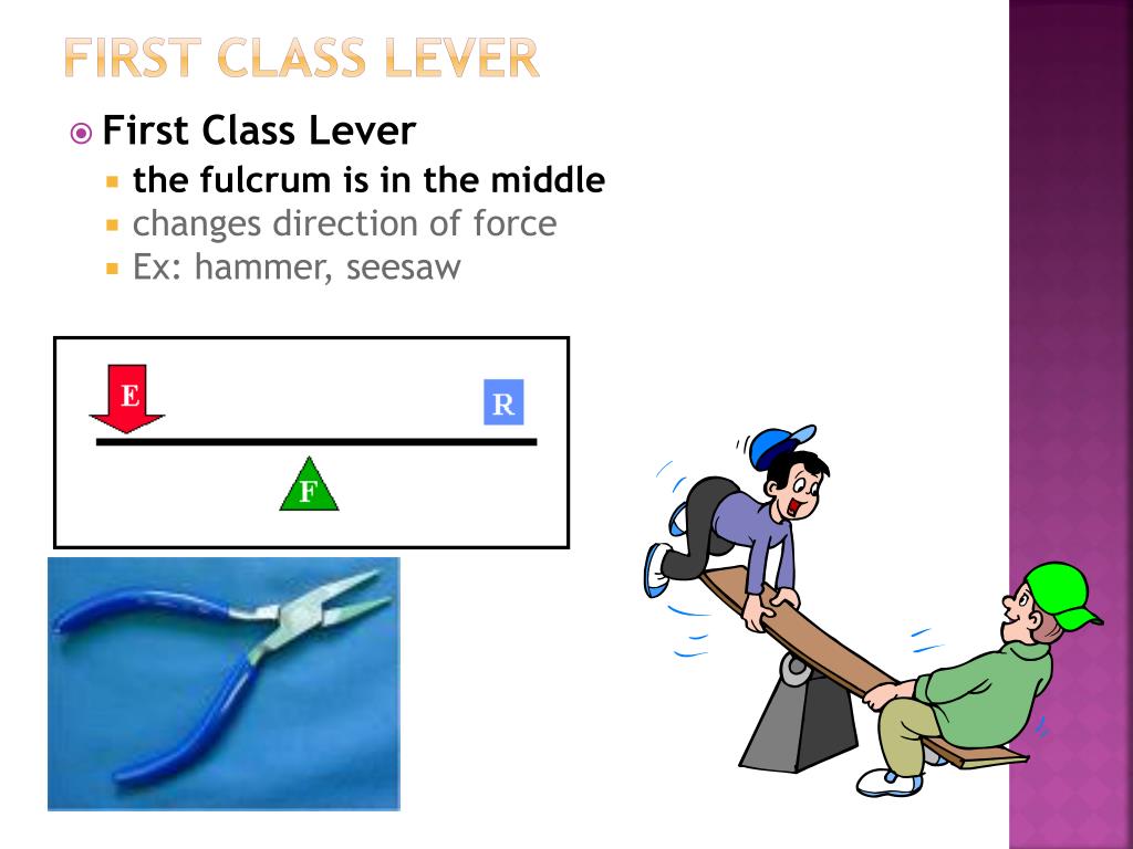 Types Of Lever Overview Structure Properties Uses - vrogue.co Types Of Lever Overview Structure Properties Uses - vrogue.co