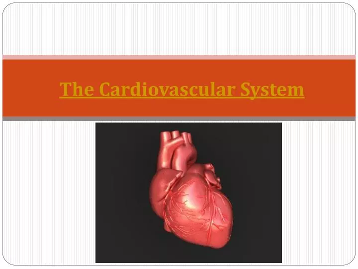 PPT - The Cardiovascular System PowerPoint Presentation, free download ...