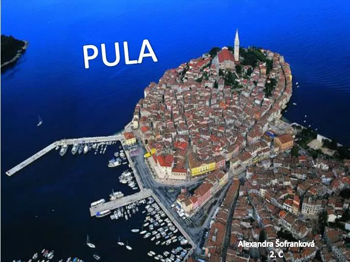 PPT - PULA PowerPoint Presentation, free download - ID:1897573
