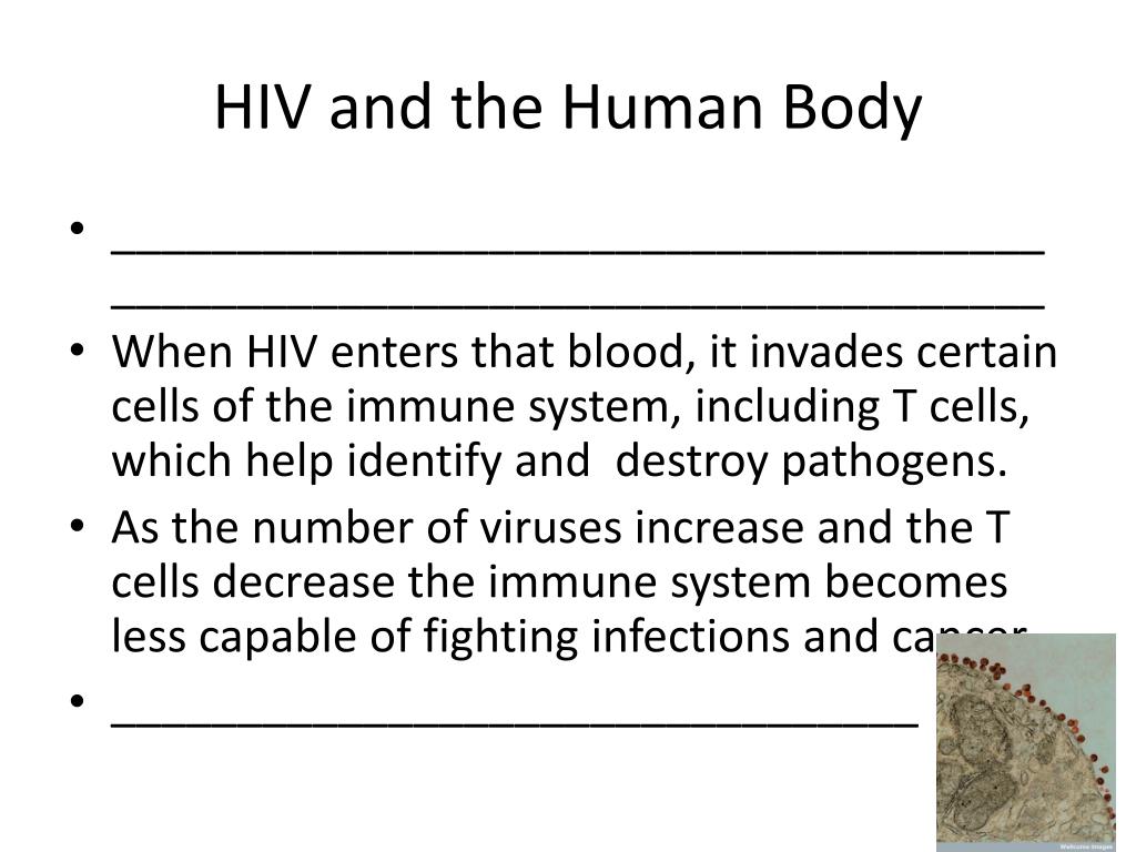 PPT - Sexually Transmitted Diseases Sexually Transmitted Infections ...