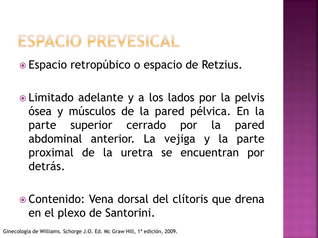 PPT - Anatomía del riñón, uretÉros , vejiga, uretra, recto y ano ...