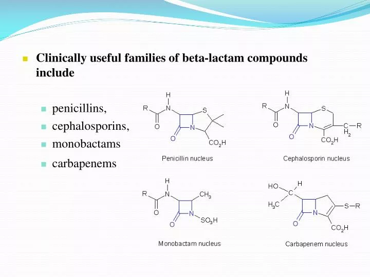 PPT - Clinically useful families of beta- lactam compounds include ...