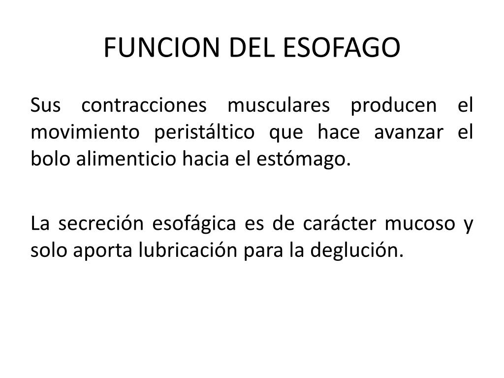 PPT - ANATOMIA Y FISIOLOGIA DEL APARATO GASTROINTESTINAL PowerPoint ...