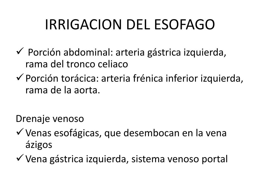 PPT - ANATOMIA Y FISIOLOGIA DEL APARATO GASTROINTESTINAL PowerPoint ...