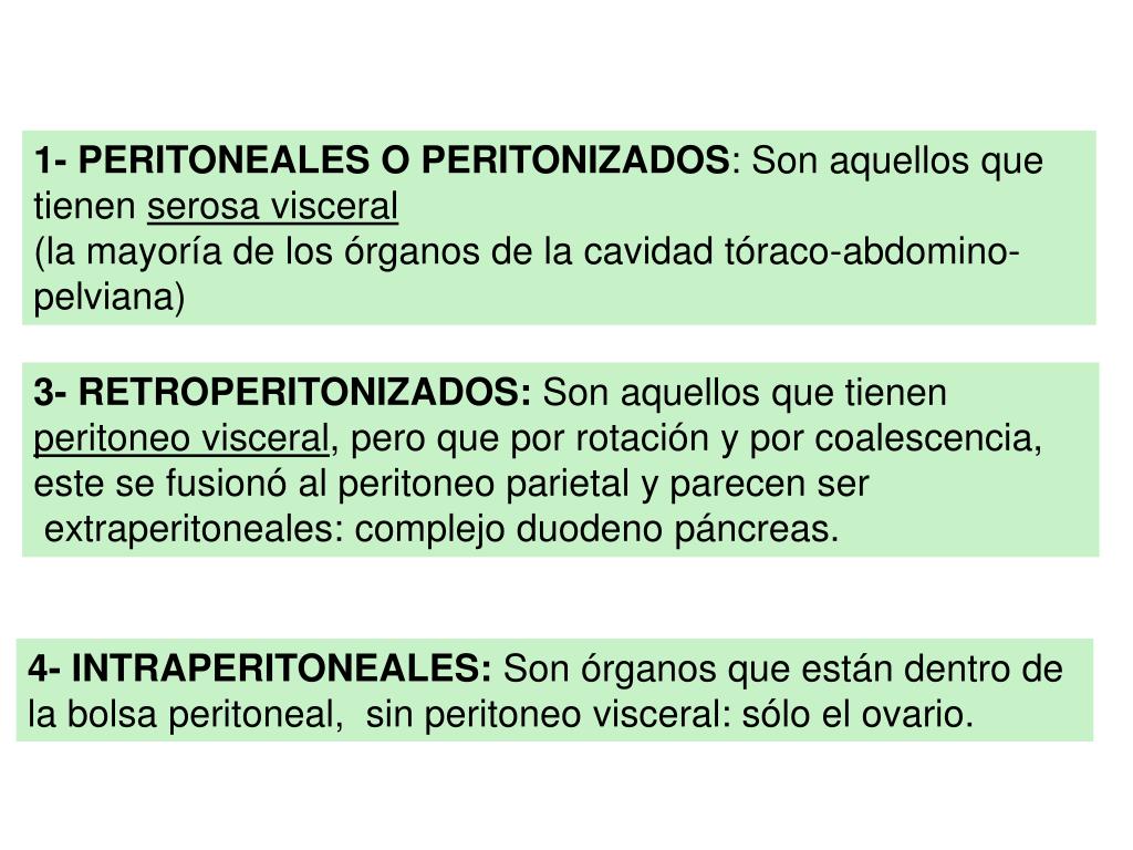 PPT - ANATOMIA Y FISIOLOGIA DEL APARATO GASTROINTESTINAL PowerPoint ...