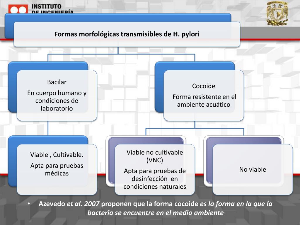 PPT - Jefe de proyecto: Ma. Teresa O rta de Velásquez Participantes ...