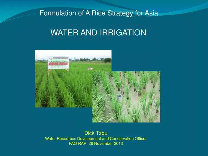 PPT - Formulation of A Rice Strategy for Asia PowerPoint Presentation ...