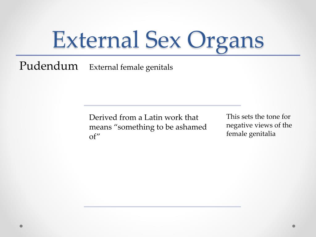 PPT - Female Sexual Anatomy and Physiology PowerPoint Presentation ...