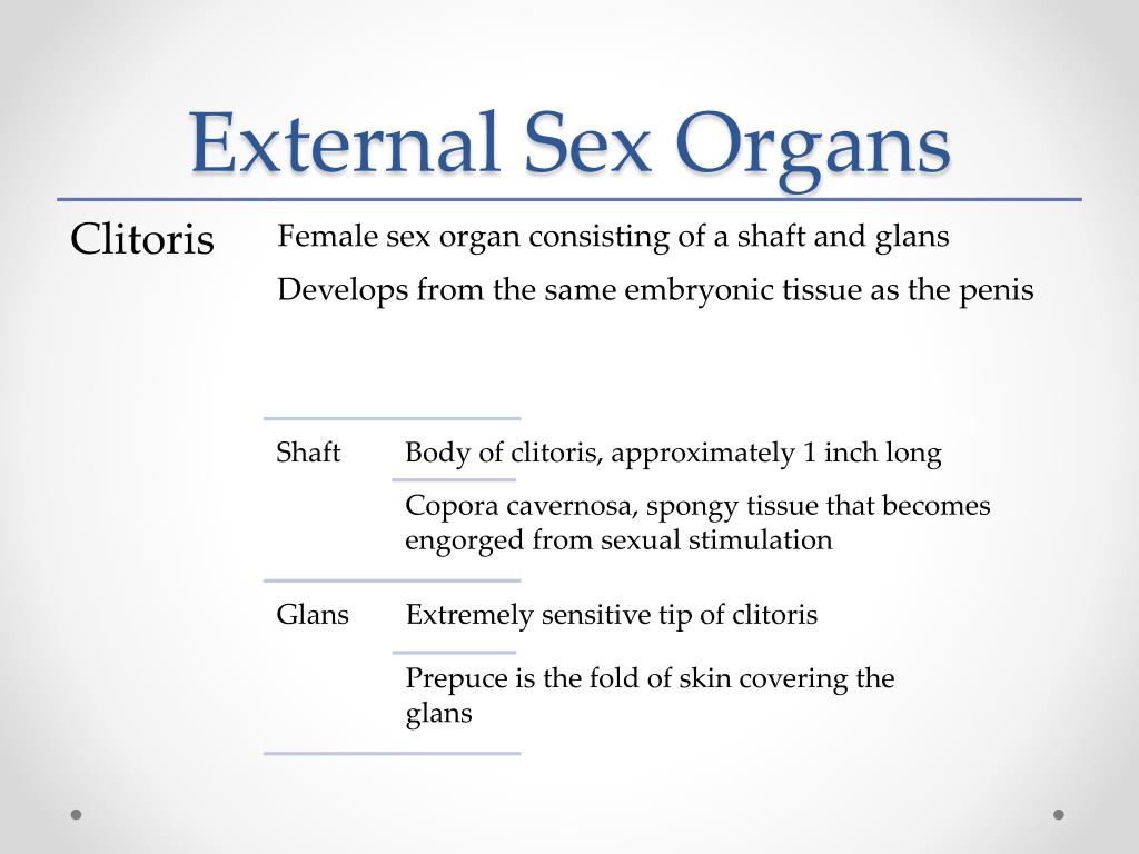 PPT - Female Sexual Anatomy and Physiology PowerPoint Presentation ...