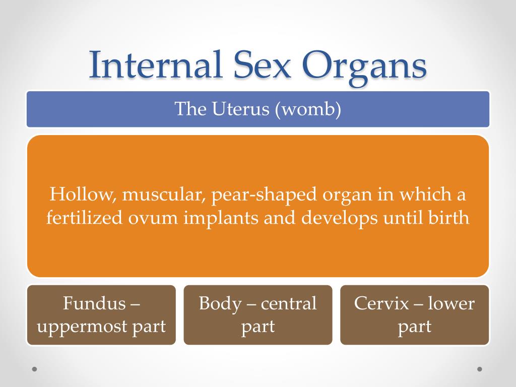 Ppt Female Sexual Anatomy And Physiology Powerpoint Presentation