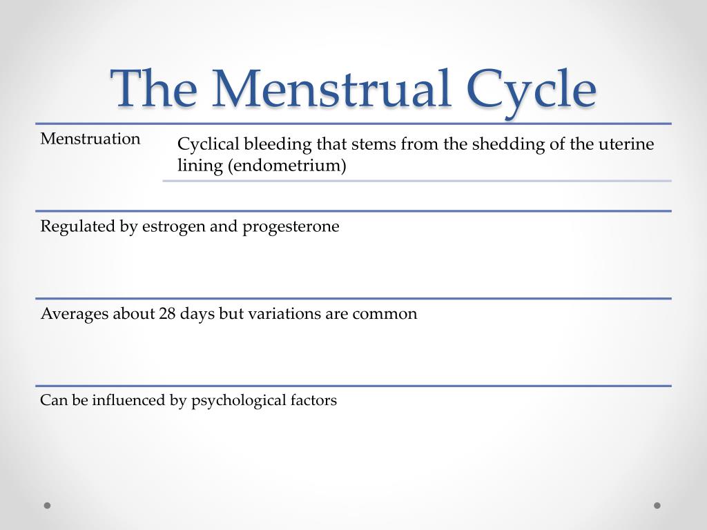 PPT - Female Sexual Anatomy and Physiology PowerPoint Presentation ...