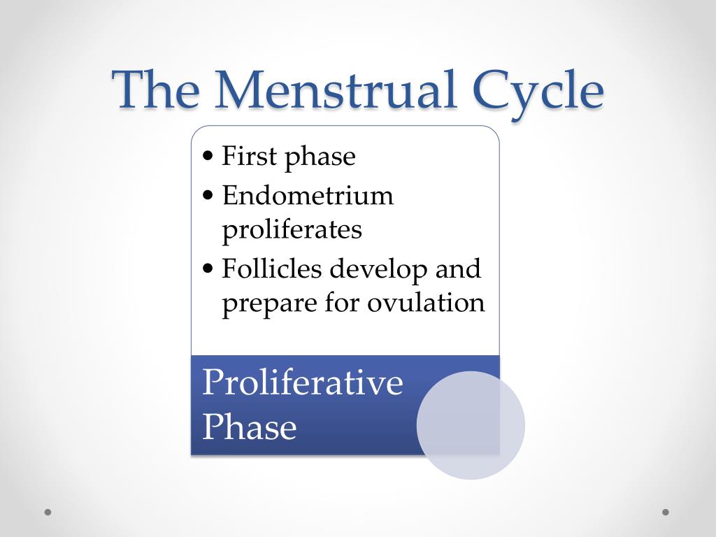 PPT - Female Sexual Anatomy and Physiology PowerPoint Presentation ...