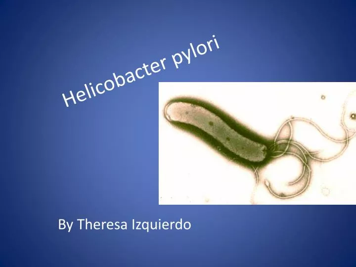 PPT - Helicobacter pylori PowerPoint Presentation, free download - ID ...