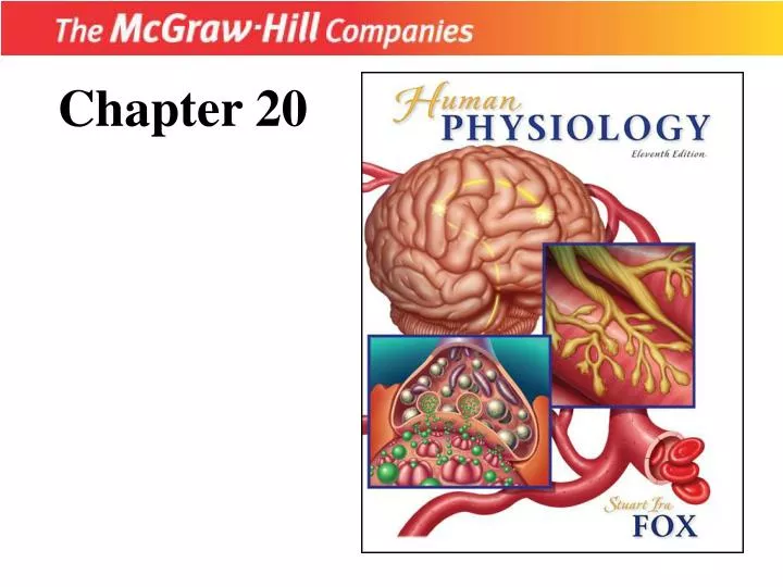 PPT - Chapter 20 PowerPoint Presentation, free download - ID:1898265