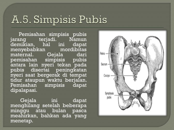 PPT - PERUBAHAN SISTEM MUSKULOSKELETAL DAN KARDIOVASKULER PADA MASA ...