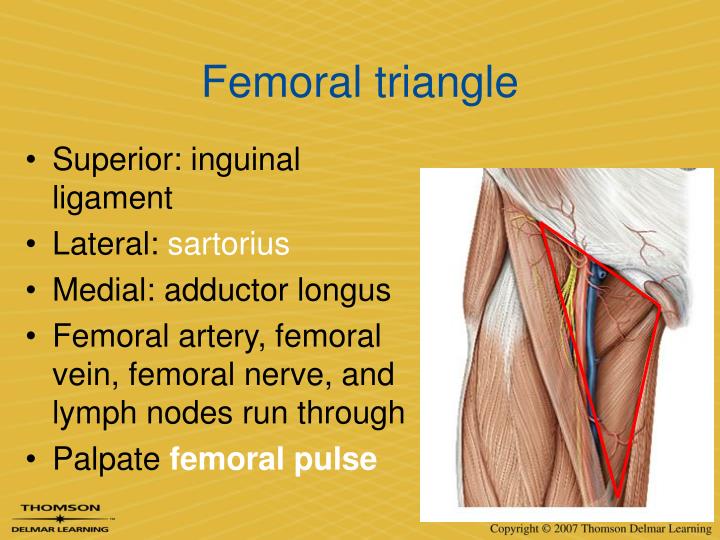 PPT - OA 1.13 PowerPoint Presentation - ID:1898401