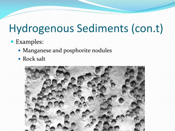 PPT - Sediments PowerPoint Presentation - ID:1898469