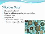 PPT - Sediments PowerPoint Presentation - ID:1898469