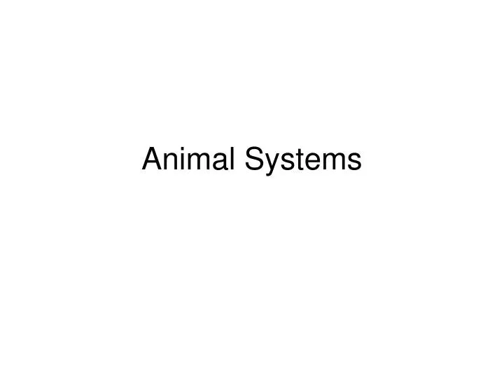 PPT - Animal Systems PowerPoint Presentation, free download - ID:1898634