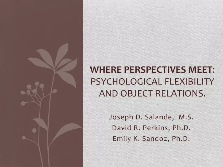 PPT - Where Perspectives Meet : Psychological Flexibility and Object ...