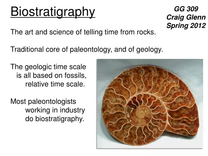 PPT - Biostratigraphy The art and science of telling time from rocks. PowerPoint Presentation ...