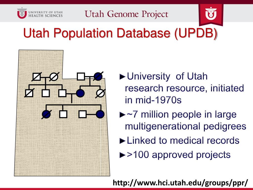 PPT - Lynn Jorde Department of Human Genetics Eccles Institute of Human ...