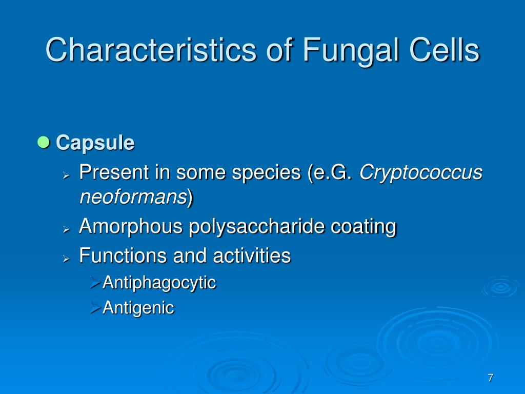 Ppt Mycology Powerpoint Presentation Free Download Id 1899063