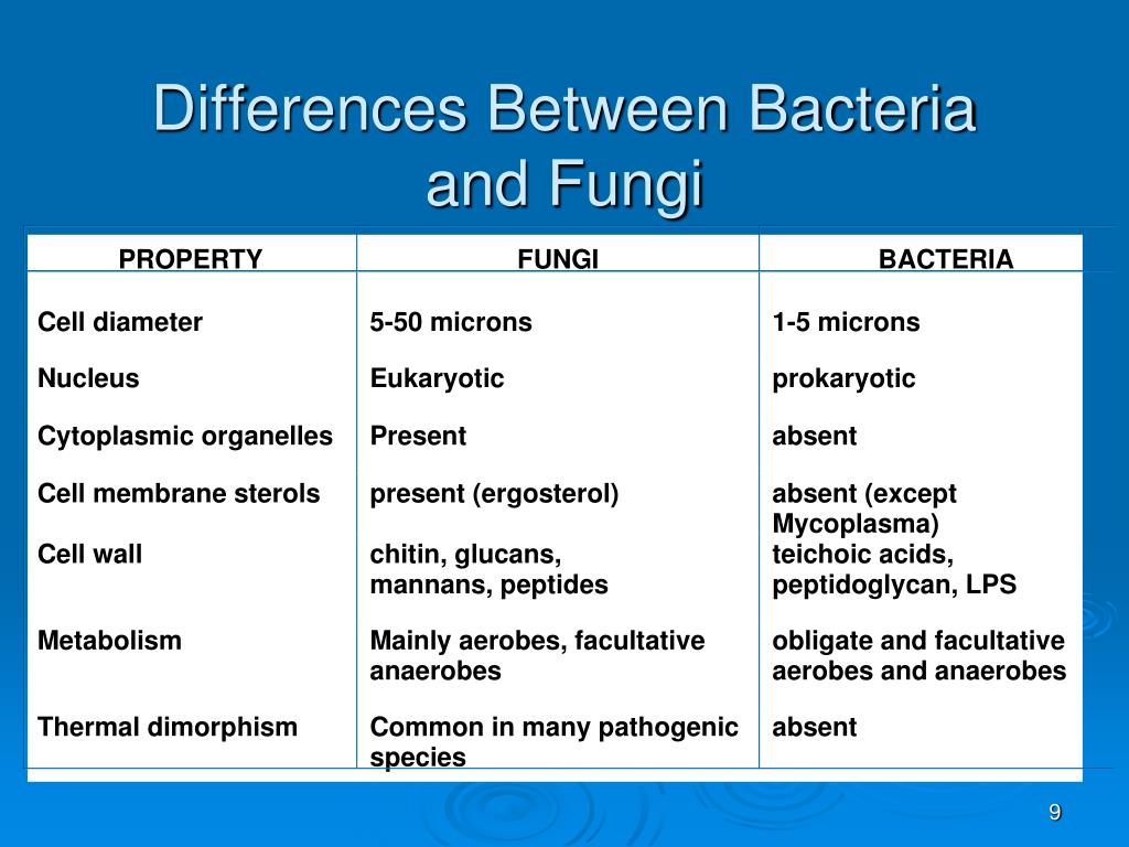 15 Differences Between Bacteria And Virus - vrogue.co 15 Differences Between Bacteria And Virus - vrogue.co