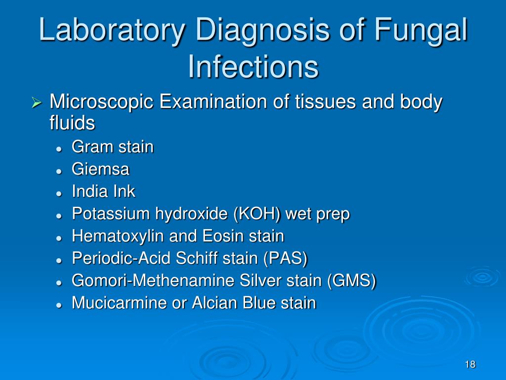 Ppt Mycology Powerpoint Presentation Free Download Id 1899063