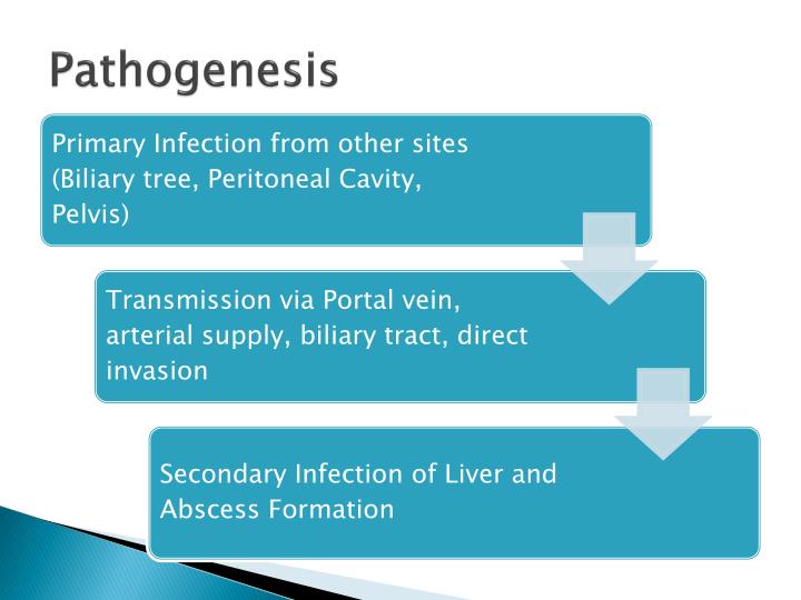 PPT - LIVER ABSCESS PowerPoint Presentation - ID:1899096