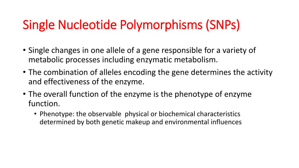 PPT - Genetic Polymorphism in Drug Metabolism – CYP450 Isoenzymes ...