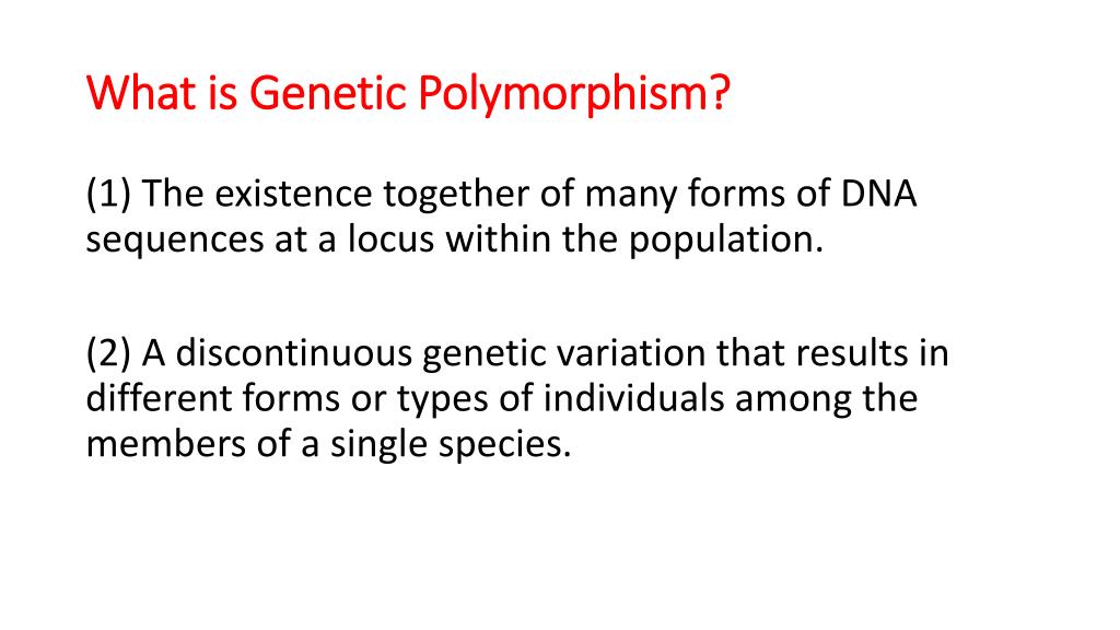 PPT - Genetic Polymorphism in Drug Metabolism – CYP450 Isoenzymes ...