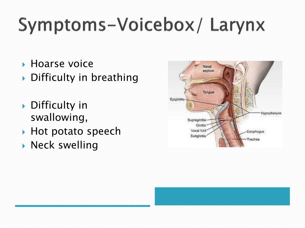 PPT - HEAD NECK CANCER- AWARENESS DRIVE PowerPoint Presentation, free ...