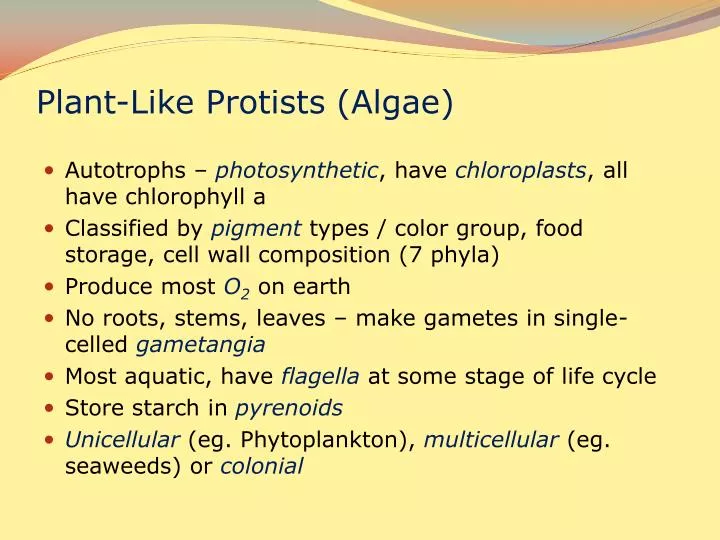 PPT - Plant-Like Protists (Algae) PowerPoint Presentation, free ...