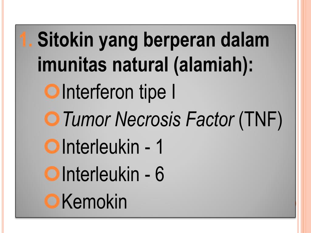 PPT - SITOKIN PowerPoint Presentation, free download - ID:1899519