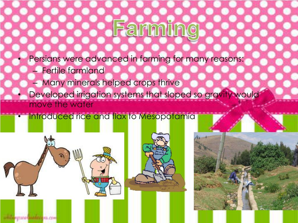 PPT - Michaela Scanlon, Paige Smith, Ashley Miller, Maya Rhodes ...