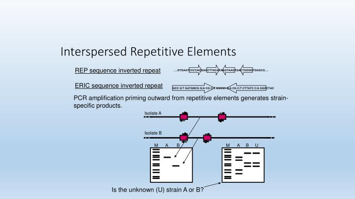 PPT - Detection and Identification of Microorganisms PowerPoint ...